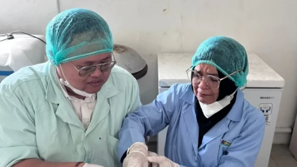 Dua Peneliti Unisma Hadirkan Formulasi Pakan Puyuh Berbasis Daun Kelor